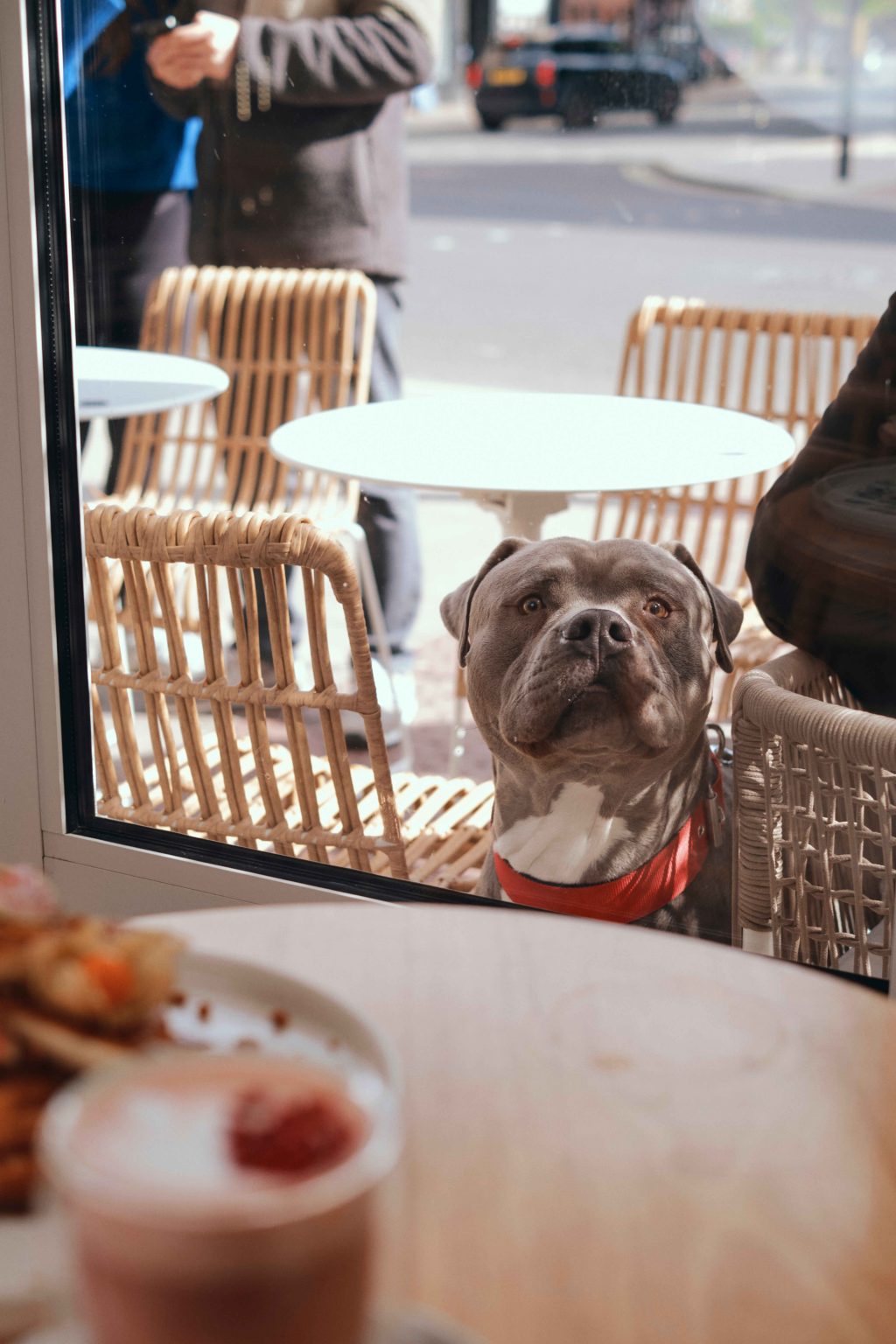 Piccolo Cafe – Artisan Coffee, Boosters, Munchies & Brunchies